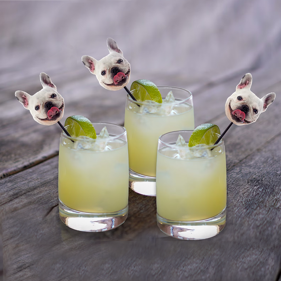 Funny Drink Stirrers Personalized with Pet Face-Custom Party Decoratio ...