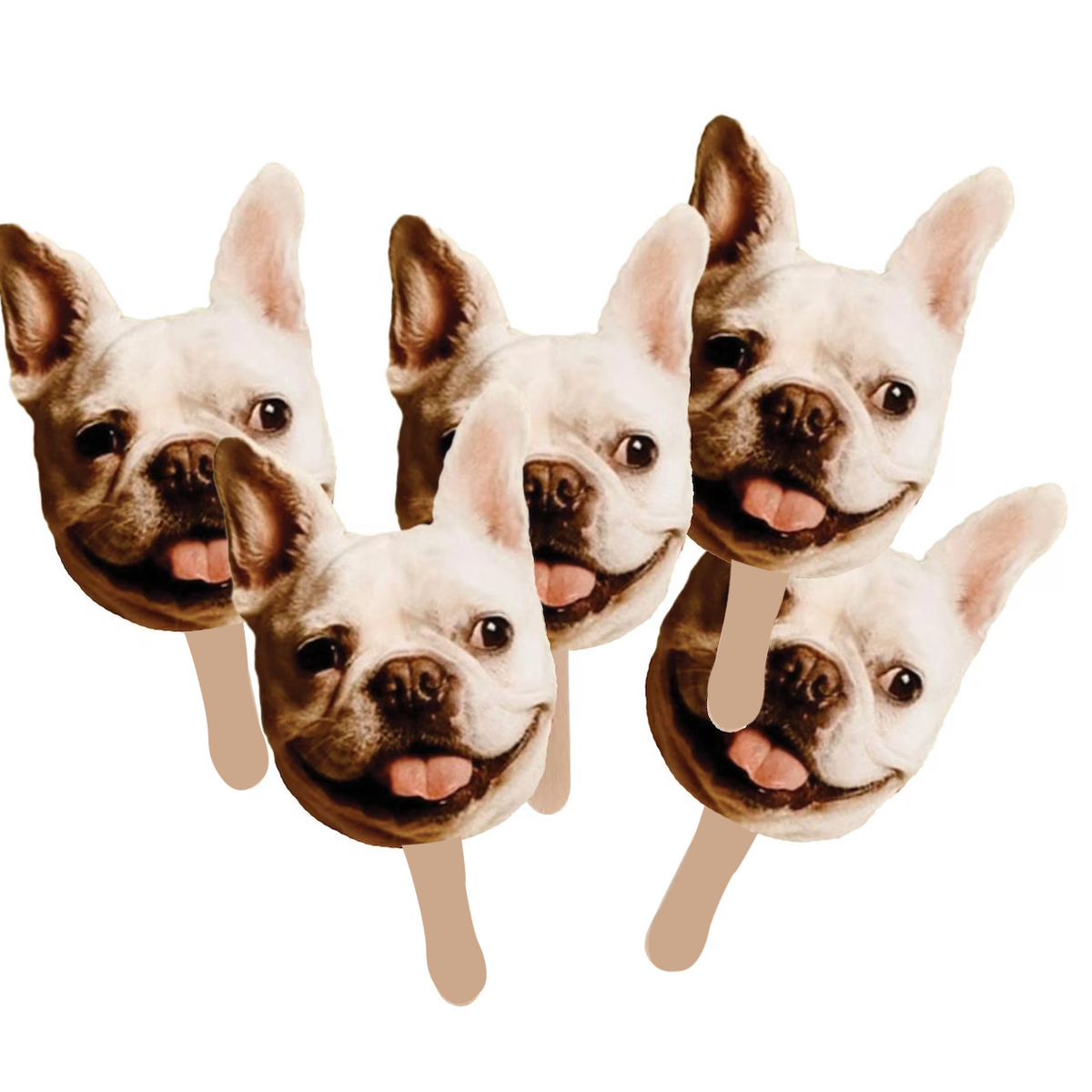 Pet Face on a Stick Big Head Cutouts， Custom Party Decorations，Heads o ...